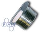Stainless Steel Male BSP Plug | PAR Group